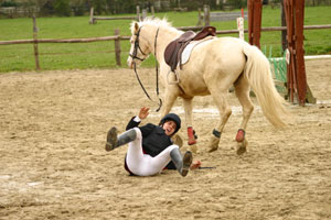 Centre équestre du Mesnil d'Argences, chutes